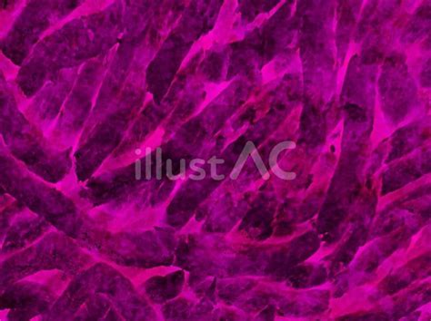 Free Vectors Strange Background