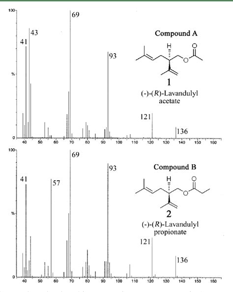 Dysmicoccus Sp Pjg 2003 Semantic Scholar