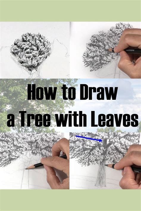 How To Draw A Tree With Leaves Leaf Drawing Realistic Pencil Drawings Drawings