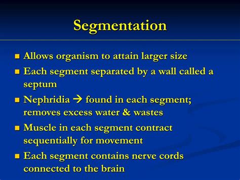 Ppt Annelids And Mollusks Powerpoint Presentation Free Download Id 5442632
