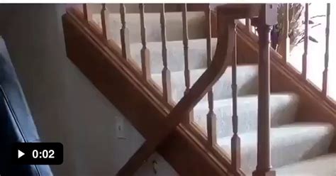 Surprise 9gag