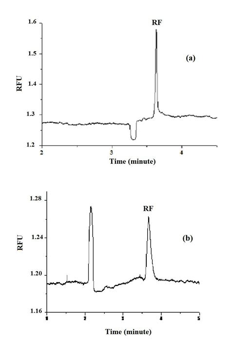 Electropherogram of a 0 3 µM of Riboflavin RF standart solution Download Scientific