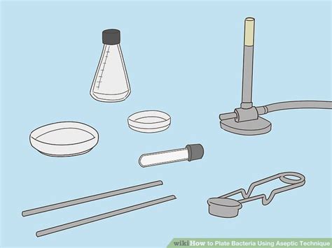 How To Plate Bacteria Using Aseptic Technique 12 Steps