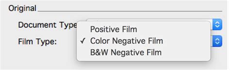 Scanning Analog Film With The Epson Perfection V Photo Scanner Filtergrade