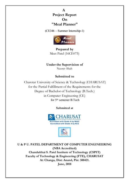 Summer Internship Report Docx Computer Software And Applications