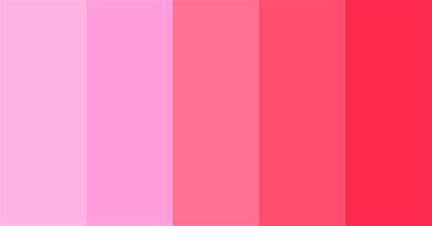 Pink Fluttershy Color Palette
