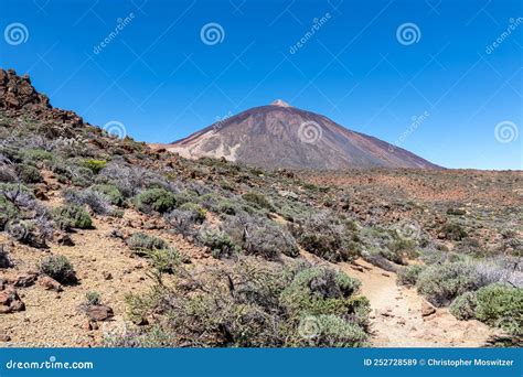 Teide Panoramic View On Volcano Pico Del Teide And Montana Blanca Mount El Teide National