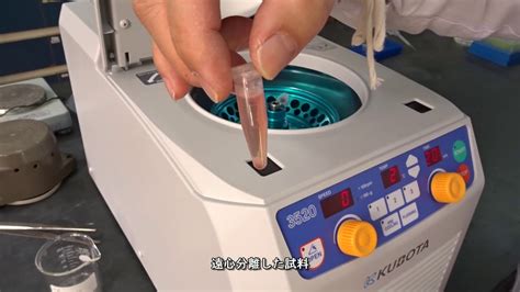 細胞分画法動物細胞高校生物実験 YouTube