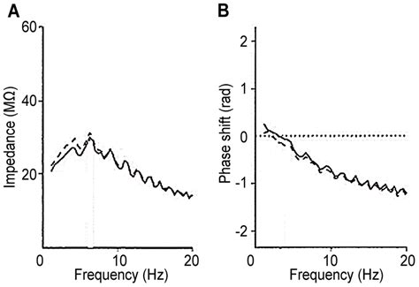 Empirical Impedance Amplitude And Phase Curves A Impedance Amplitude