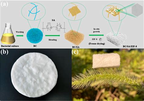 Figure 1 From Zeolitic Imidazolate Framework 8 Modified Bacterial Cellulose Sodium Alginate