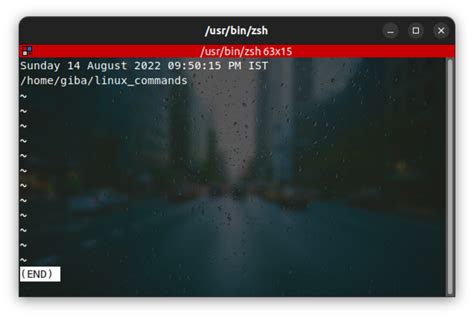 30 Standard Linux Commands For Beginner Or Intermediate Users Hubpages