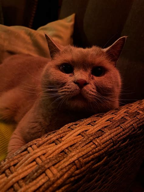 Anna Maria Kononenko Posted On Linkedin