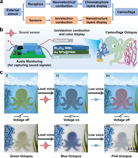 Cephalopods Skin‐inspired Design Of Nanoscale Electronic Transport Layers For Adaptive
