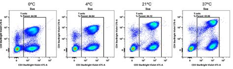 Tips And Tricks Temperature And Ccr7 Clones
