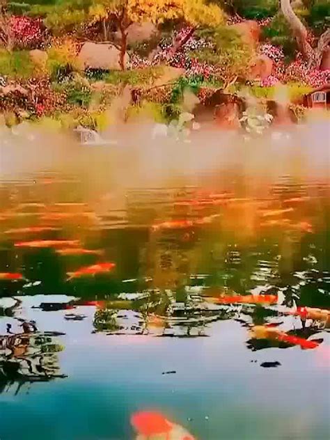 อัลตร้าโซนิค เครื่องทำหมอก เครื่องพ่นหมอกอัลตร้าโซนิค 6 10 20 หัวฉีด ป้องกันวัสดุที่เป็นสนิม คู่