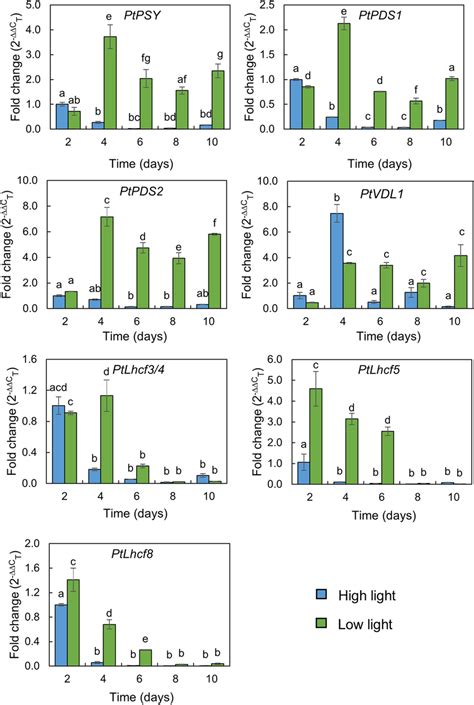 Time Course Qrt Pcr Analysis Of The Transcript Levels Of Genes Involved Download Scientific