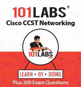 Courses 101Labs Net