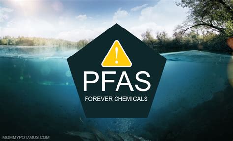 What You Need To Know About PFAS Other Forever Chemicals In Water
