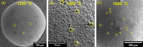 Comparison Between Tristructural‐isotropic Triso Particles Oxidized Download Scientific