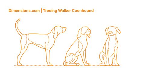 Are Treeing Walker Coonhounds Good For Apartment Units