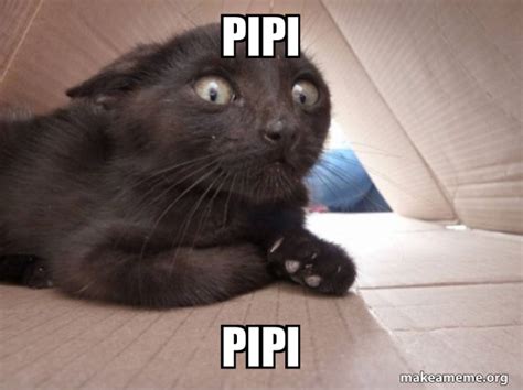 Pipi Pipi Schitzo Cat Meme Generator