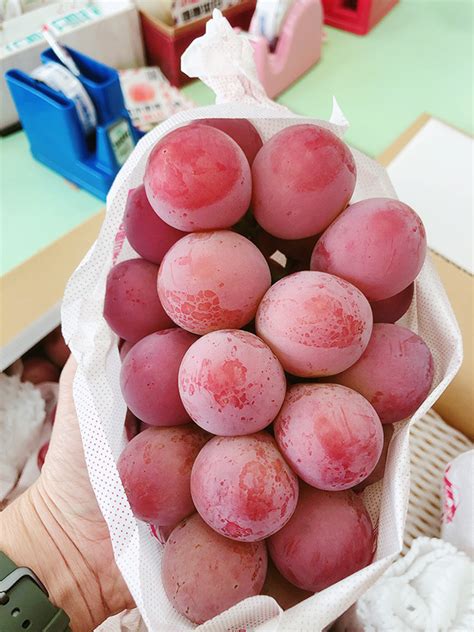 日本山梨妮娜皇后葡萄XXL號 2房 盒 甜度極高的紅寶石葡萄 全威進口水果