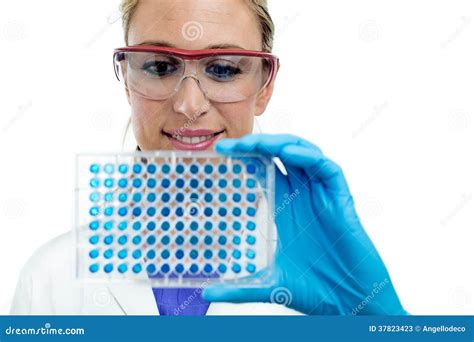 Scientist Woman Examining A Microplate Stock Image Image Of Clinical