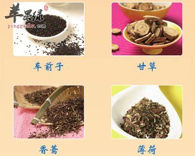 小暑节气中药调养更滋补 苹果绿