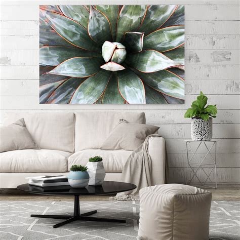 Succulent Wall Art Canvas Best Succulent Ideas