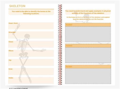 Aqa Gcse Pe Revision Worksheets Skeletal System Teaching Resources