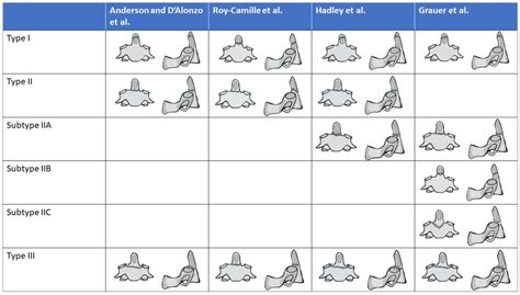 Classification Of Odontoid Fractures According To Anderson And Download Scientific Diagram
