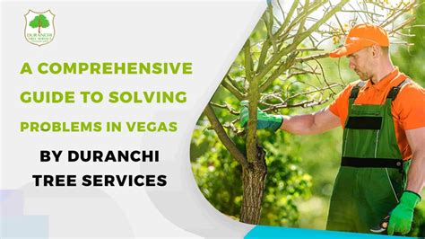A Comprehensive Guide To Solving Tree Problems In Vegas