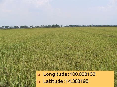 cluster computing for swap crop model parameter identification