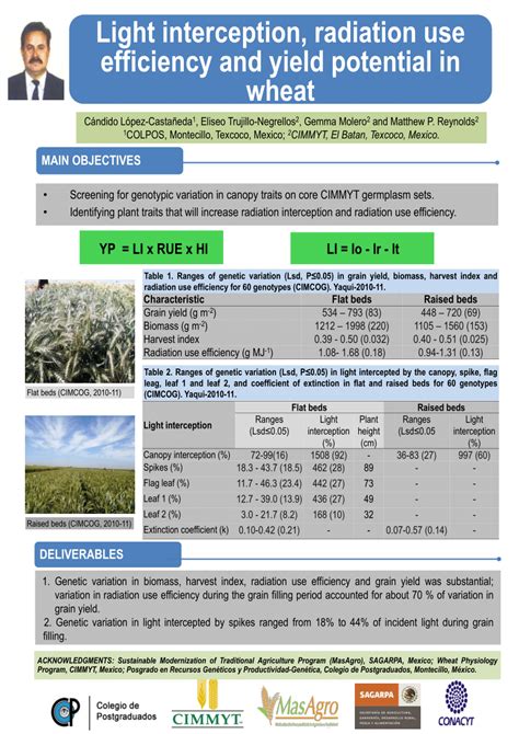 Pdf Light Interception Radiation Use Efficiency And Yield Potential