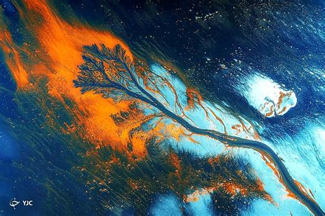 عکس‌های منتخب مسابقه جهانی عکاسی با عنوان حفاظت از طبیعت