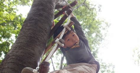 진흙으로 만든 파이 얼마에요 나뭇잎 돈 두장 내세요