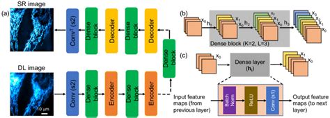Block Diagram Of Fully Convolutional Networks With Dense Blocks A