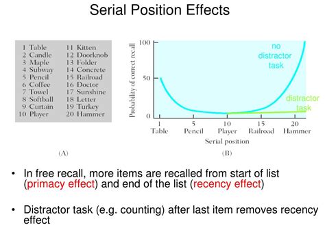 Ppt Memory Iii Working Memory And Brain Powerpoint Presentation Id386691