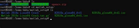 Windows的linux子系统中挂载镜像文件错误编程语言 Csdn问答
