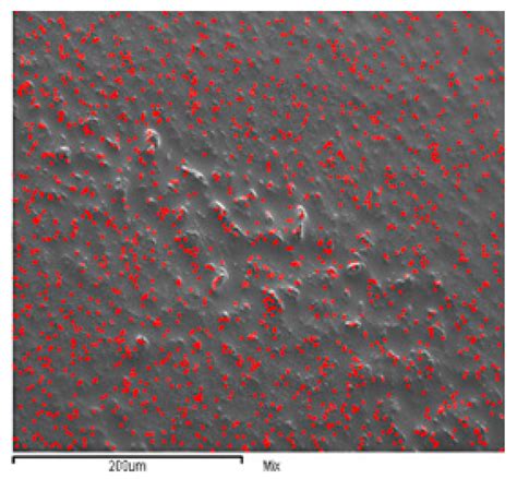 Surface Of The Resin Composite With Dispersed Apa The Surface Download Scientific Diagram