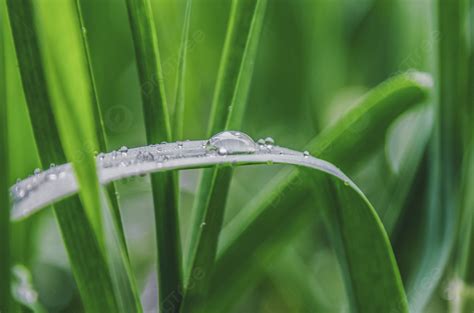 녹색 눈 보호 벽지 물방울 응결 초록 단순한 포스터 배경 일러스트 및 사진 무료 다운로드 Pngtree