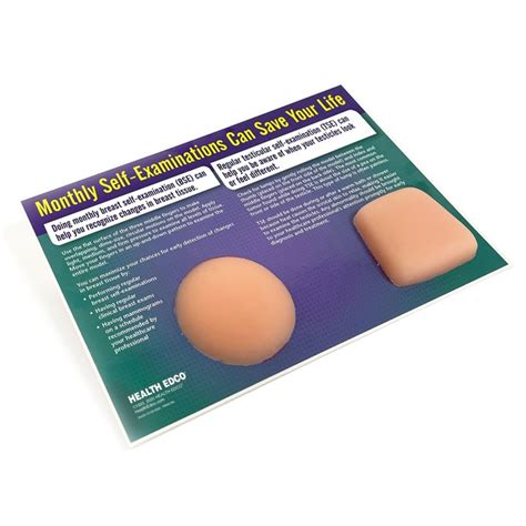 Nonsexual Bse Tse Health Education Model Health Edco