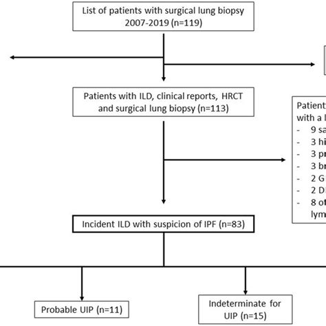 A Radiographic Probable Uip Pattern Patient 1 B Radiographic