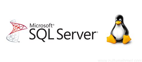 Linux Üzerinde Mssql Server Çalıştırma Zülfü Mehmet