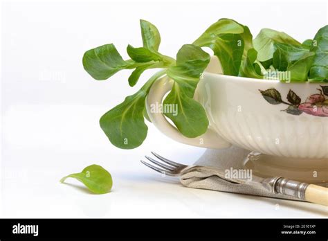 Rapunzel Salad Hi Res Stock Photography And Images Alamy