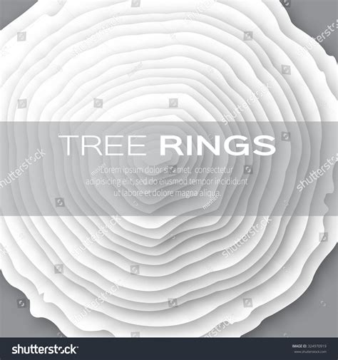 Tree Rings Saw Cut Tree Trunk Stock Vector Royalty Free Shutterstock