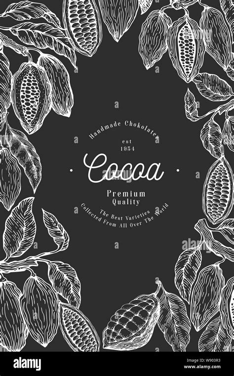 Cocoa Bean Tree Banner Template Chocolate Cocoa Beans Background Vector Hand Drawn
