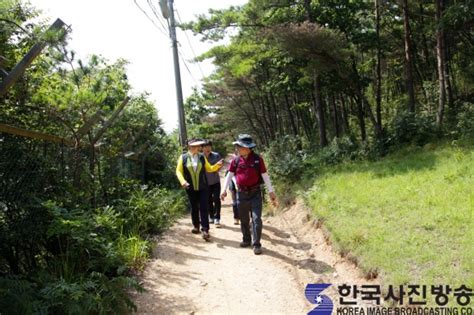 황금 산 둘레길 용왕님이 산책하시는 둘레길 한국사진방송 대한민국예술