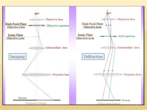 Electron Microscopy Tem And Sem Pptx