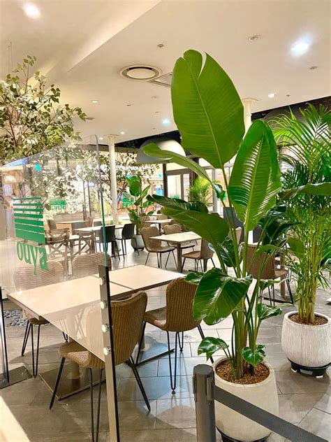 플랜테리어o카페 ⭐️플랜태그plantag⭐️ 숨고 숨은고수 플랜테리어o카페 ⭐️플랜태그plantag⭐️ 숨고 숨은고수